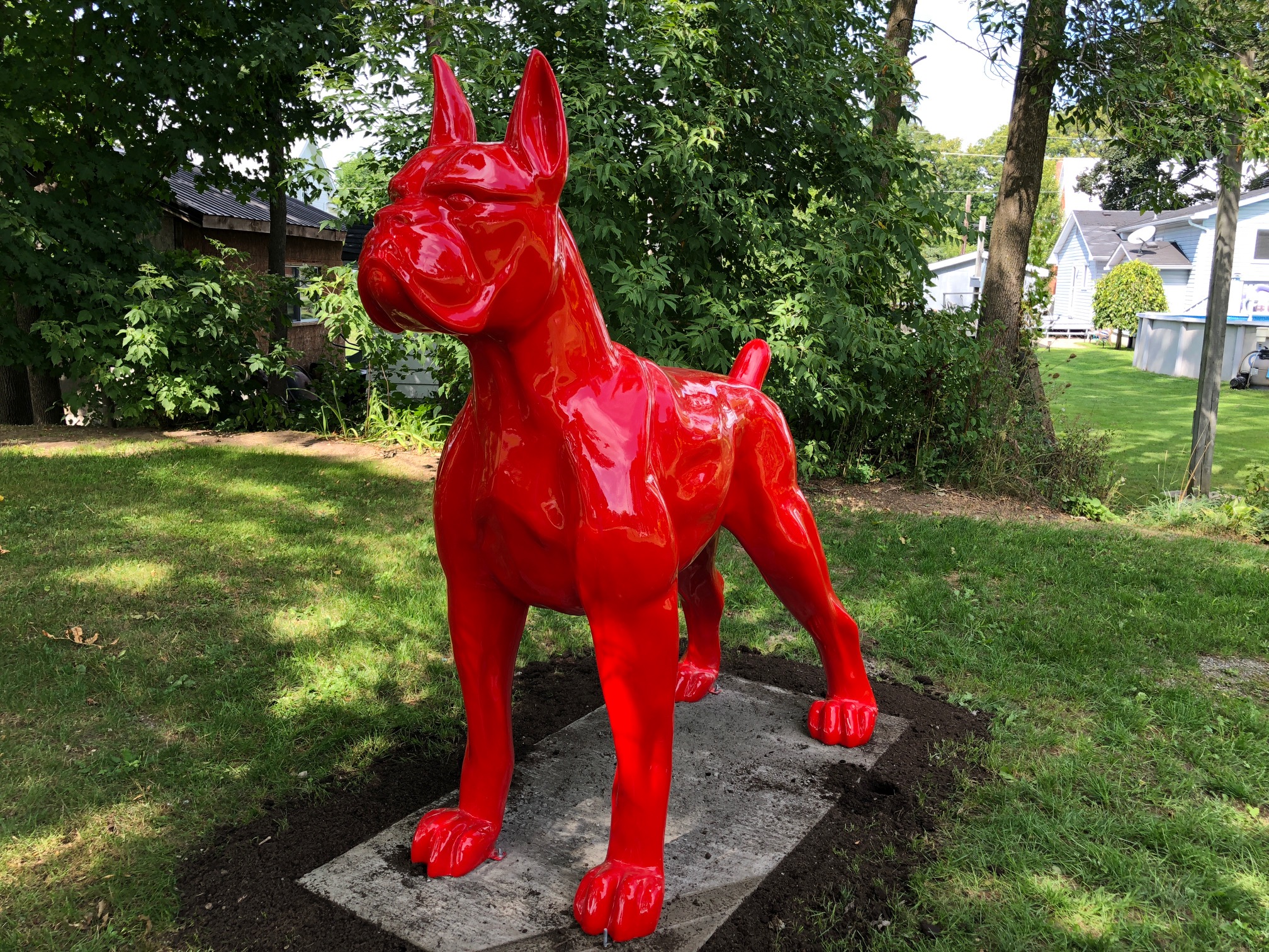 NAME THAT RED DOG! contest | Robin, The Mayor